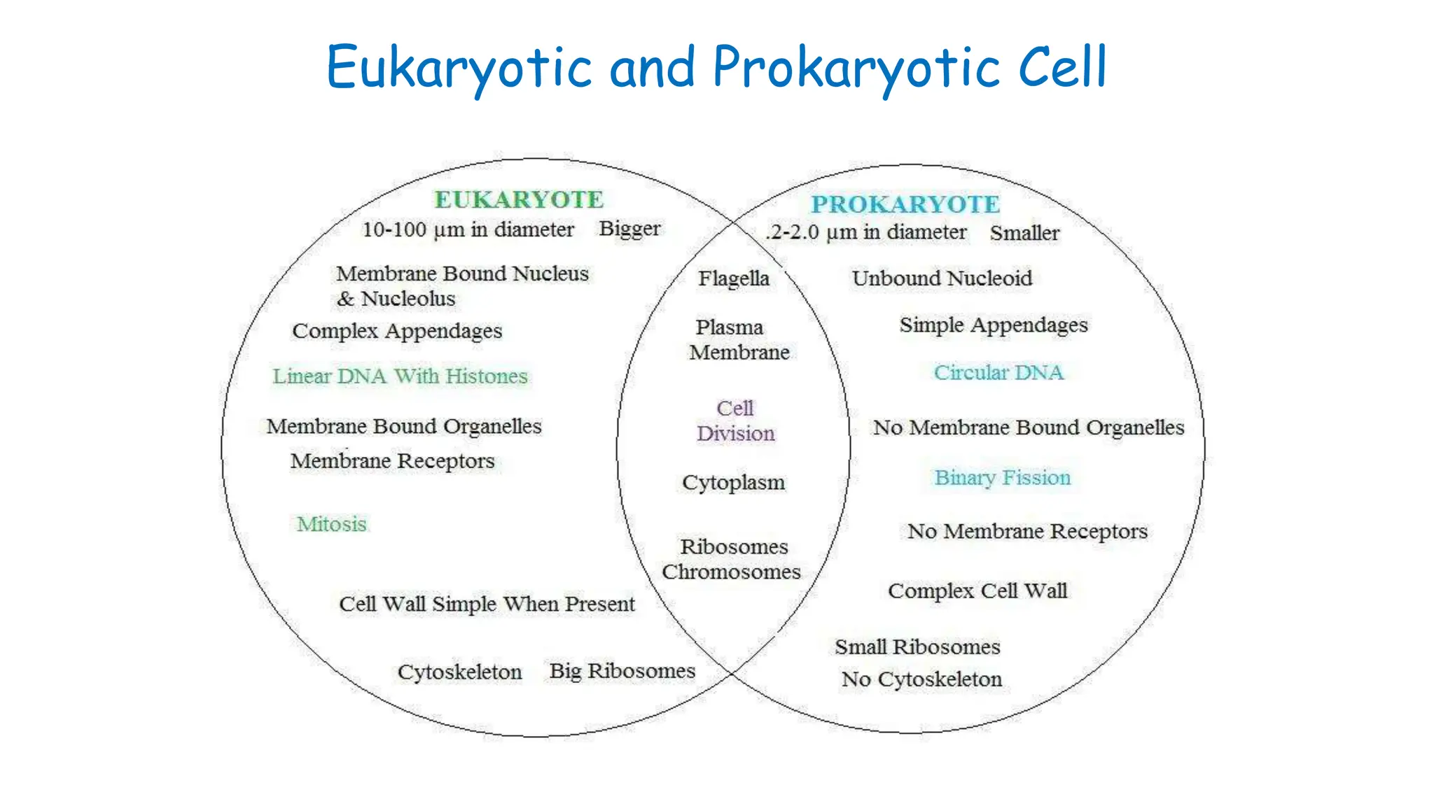 Structure of Prokaryotic and Eukaryotic cells Cells.ppt