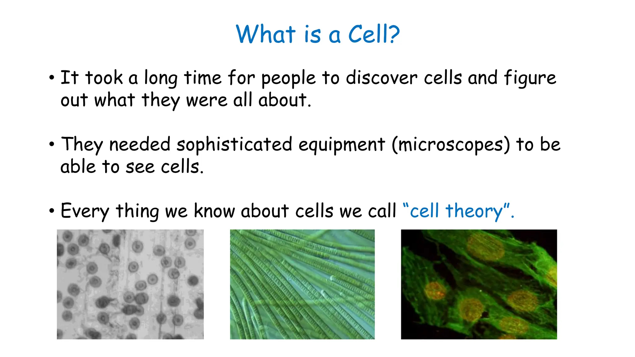 Structure of Prokaryotic and Eukaryotic cells Cells.ppt