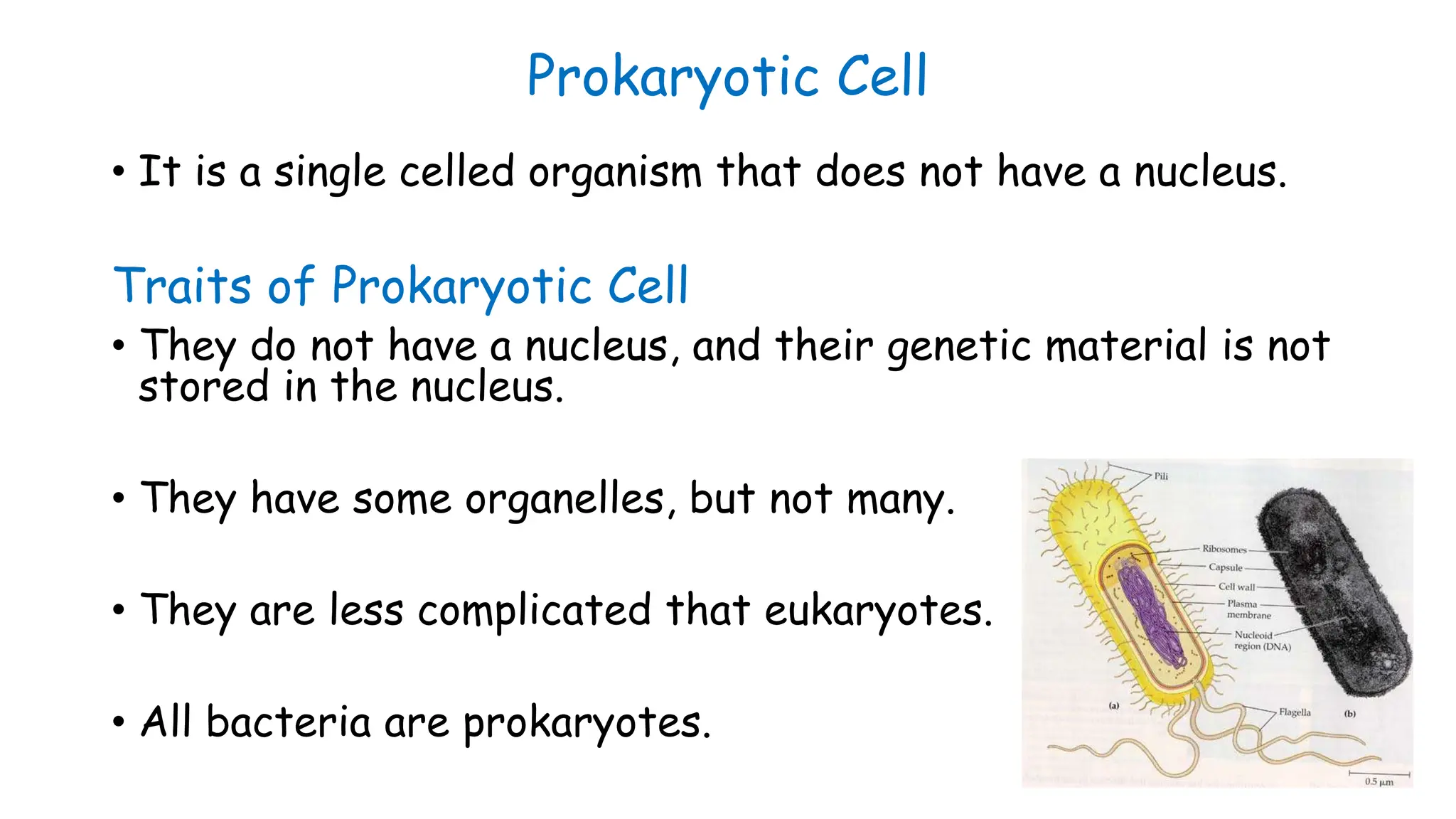Structure of Prokaryotic and Eukaryotic cells Cells.ppt