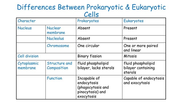 Structure of Prokaryotic and Eukaryotic cells Cells.ppt