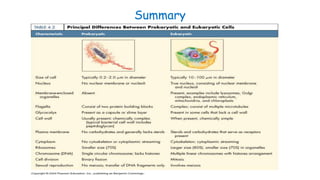 Structure of Prokaryotic and Eukaryotic cells Cells.ppt