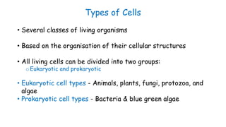 Structure of Prokaryotic and Eukaryotic cells Cells.ppt