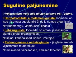 Paljunemine | PPT