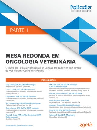 Palladia mesa-redonda-parte1 | PDF