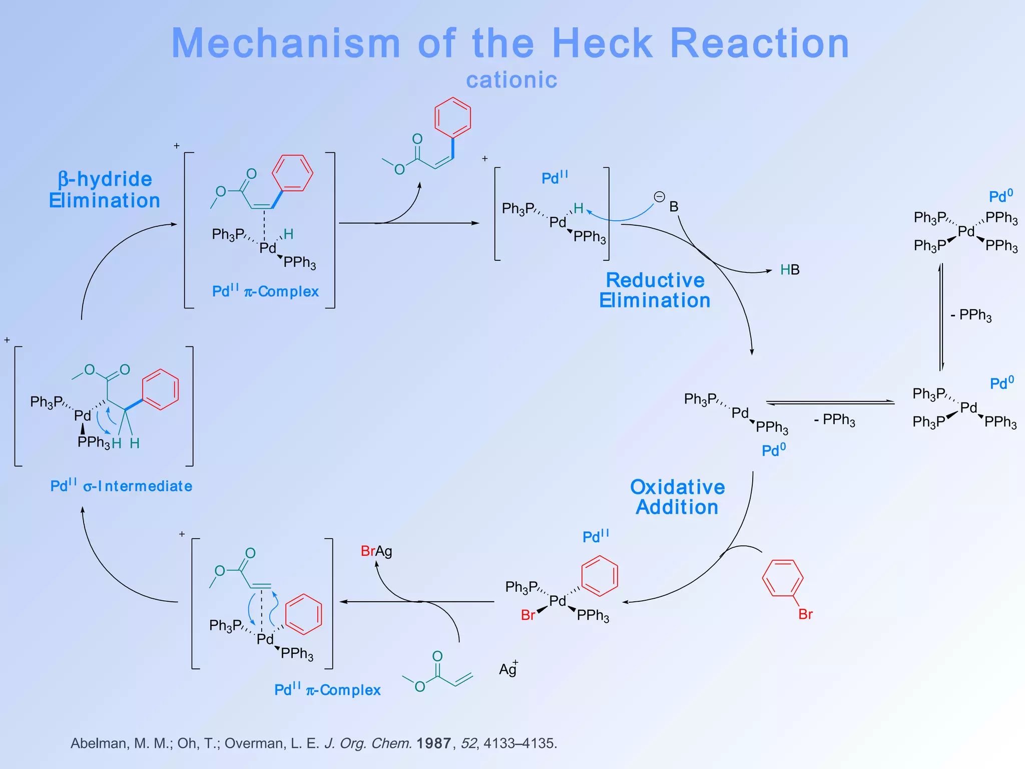 Palladium catalysed reactions in synthesis | PPT