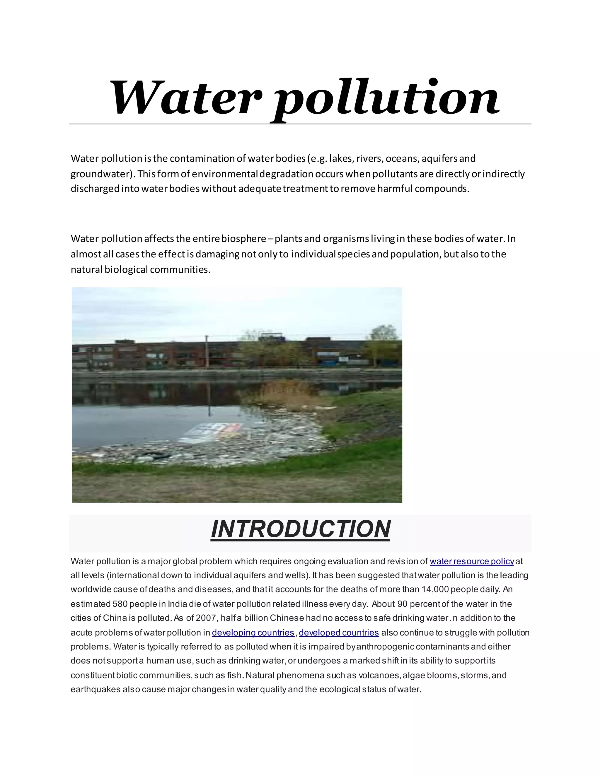 Pallavi article water pollution | DOCX