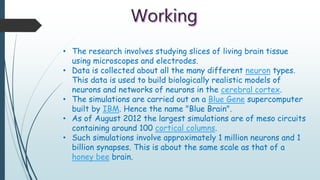 Blue Brain | PPTX