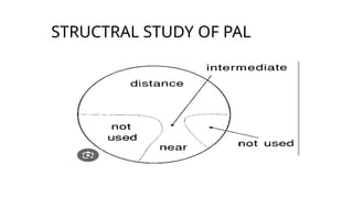 Learn the basics of Progressive addition lens . | PPT