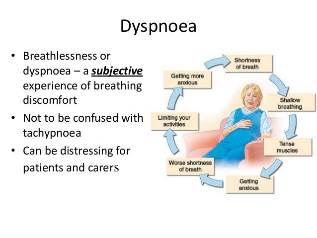 Palliative Symptom Management