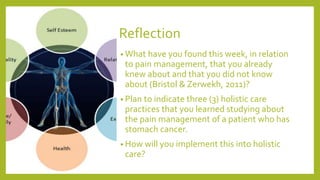 Palliative care:Pain Management Reflection Assignment | PPTX