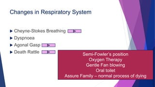 Palliative Care ~ Physiological Changes in Dying | PPTX