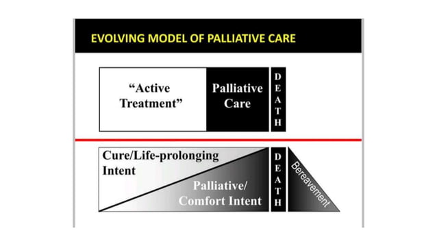 PALLIATIVE CARE AND PRINCIPLES OF MANAGEMENT OF TERMINALLY ILL - ITANKA ...