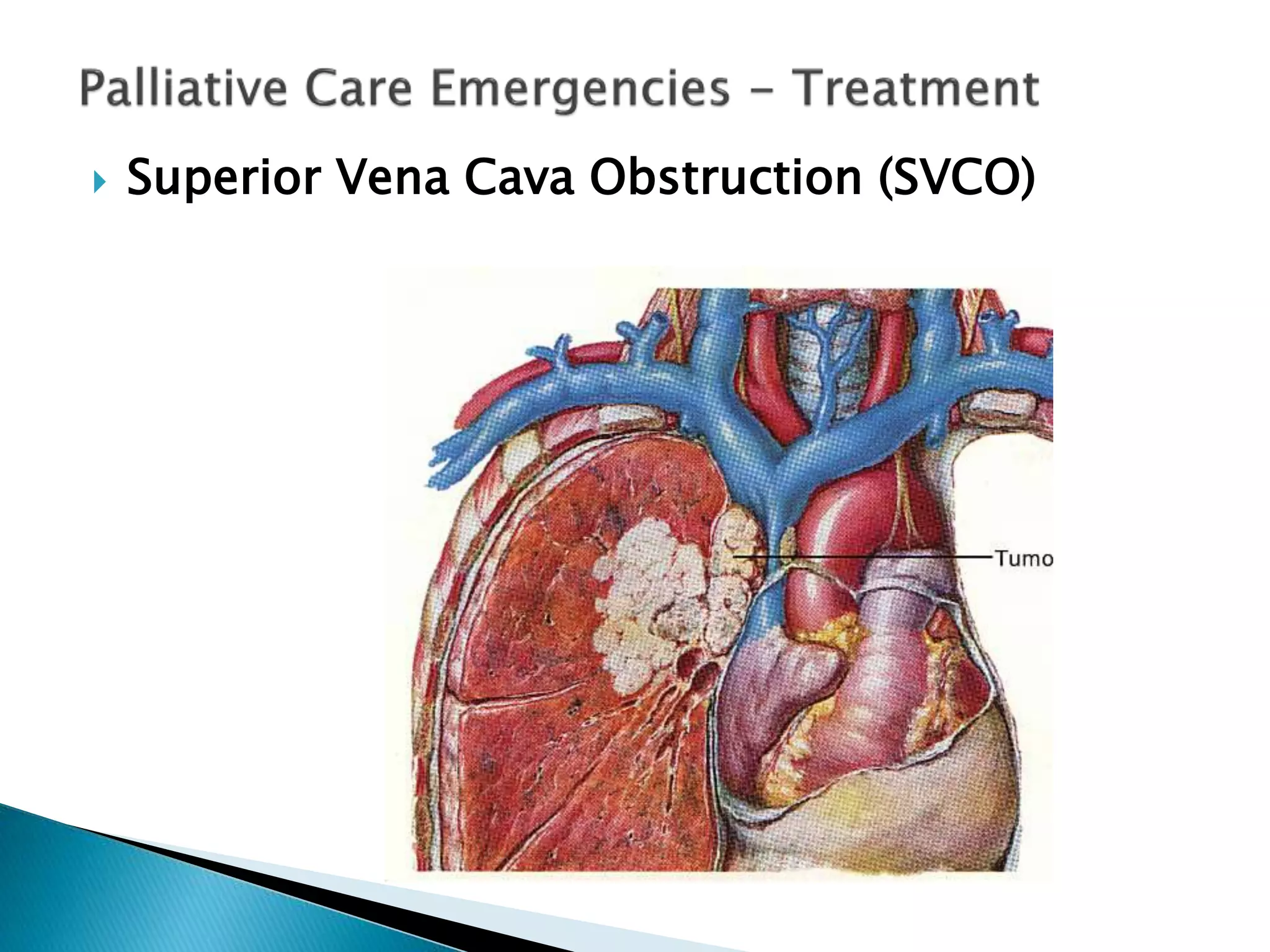 Palliative Care Emergencies.pptx