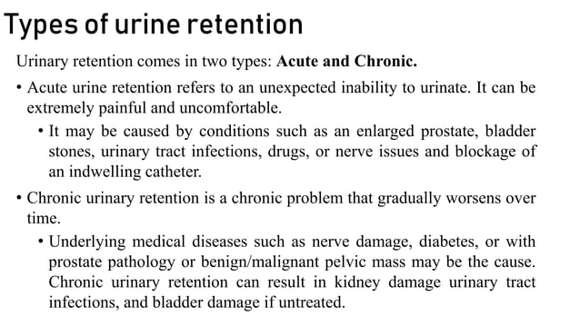 PALLIATIVE CARE (GROUP2) BME3 2023.pptx