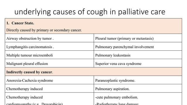 PALLIATIVE CARE (GROUP2) BME3 2023.pptx