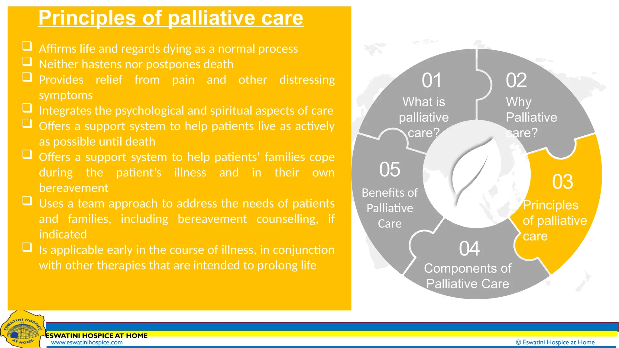 Palliative Care Introduction presentation | PPTX
