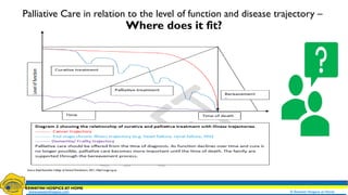 Palliative Care Introduction presentation | PPTX