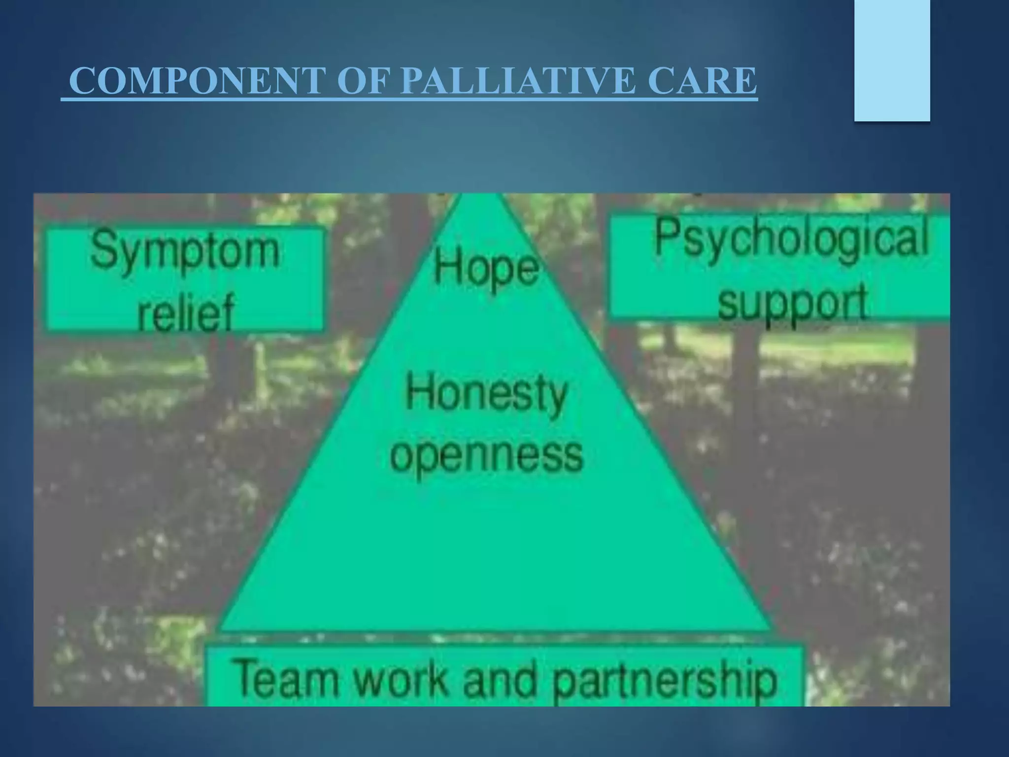 Palliative care ppt gins.pptx