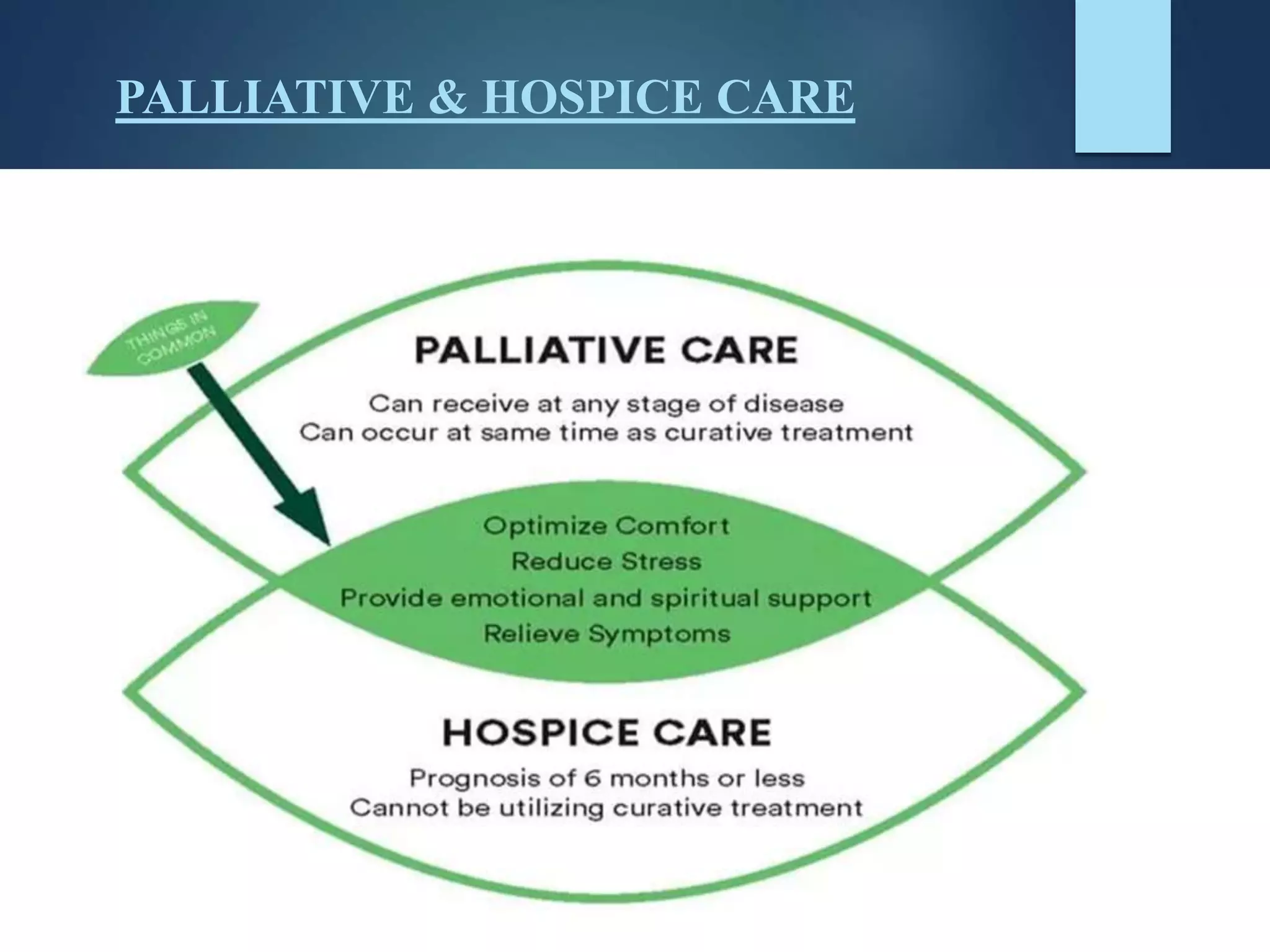 Palliative care ppt gins.pptx | Diseases and Conditions | Medical Health