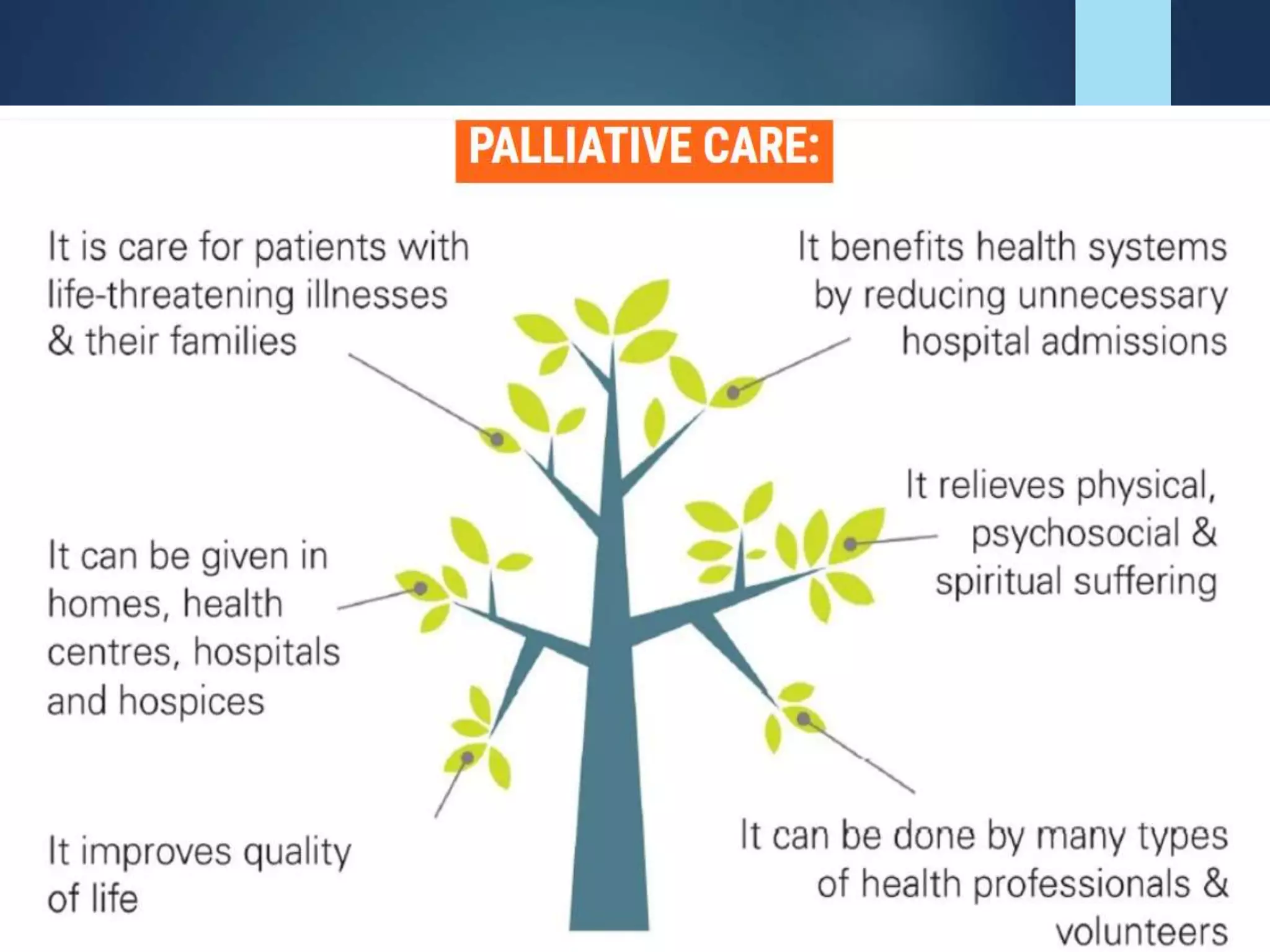 Palliative care ppt gins.pptx | Diseases and Conditions | Medical Health