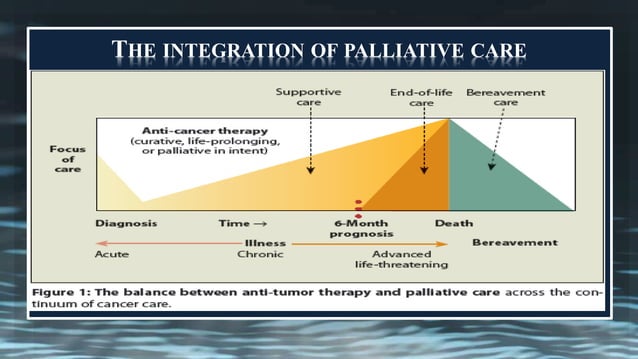 Introduction to Palliative Nursing Care | PPTX