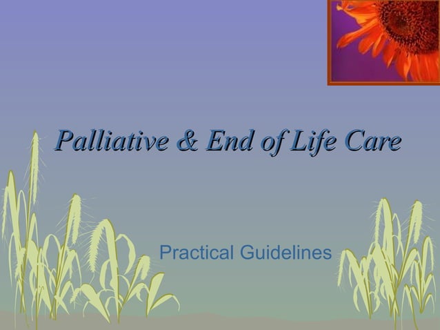 Palliative & End of Life Care | PPT | Eldercare | Family and Relationships