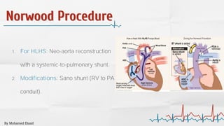 Palliative Procedures in Cyanotic Heart Diseases | PDF