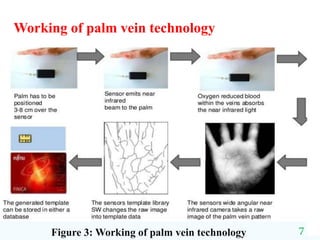 Palm vein technology latest ppt | PPTX