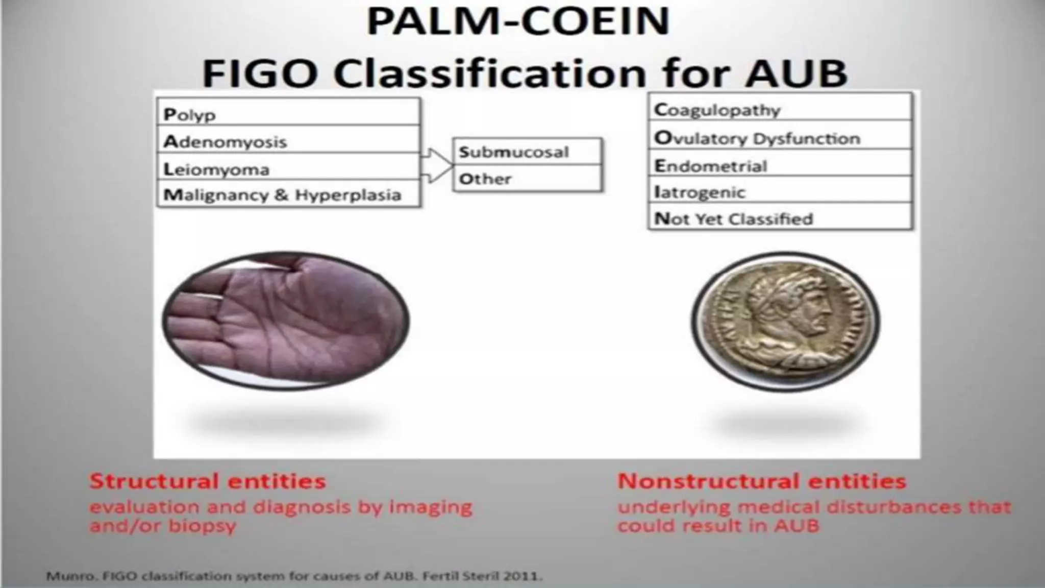 Palm coein classification its clinical significance -final | PPT
