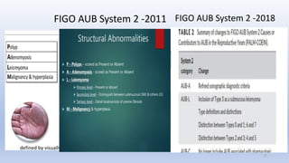 Palm coein classification its clinical significance -final | PPT