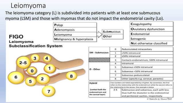 Palm coein classification its clinical significance -final