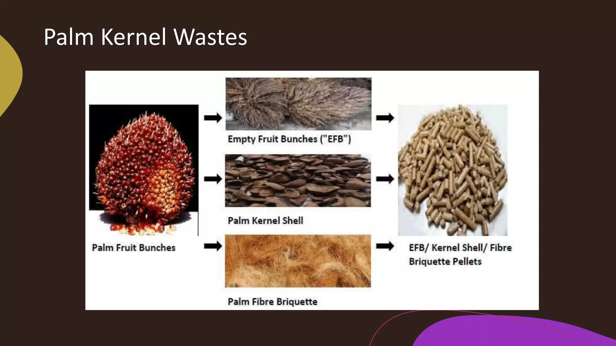 Palm oil-mill-wastes | PDF