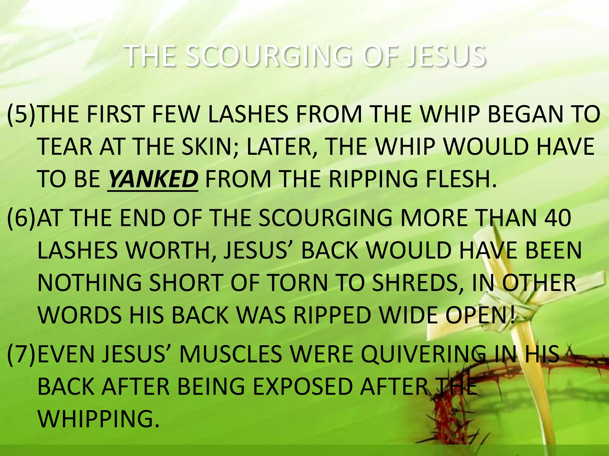 Palm sunday-template | PPTX