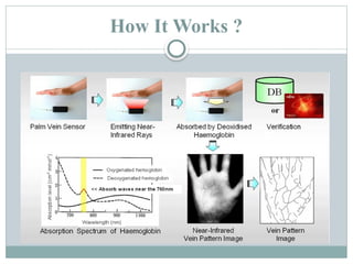 Palm-Vein-Technology-ppt.pptx.Palm Vein Biometric ID Technology System ...
