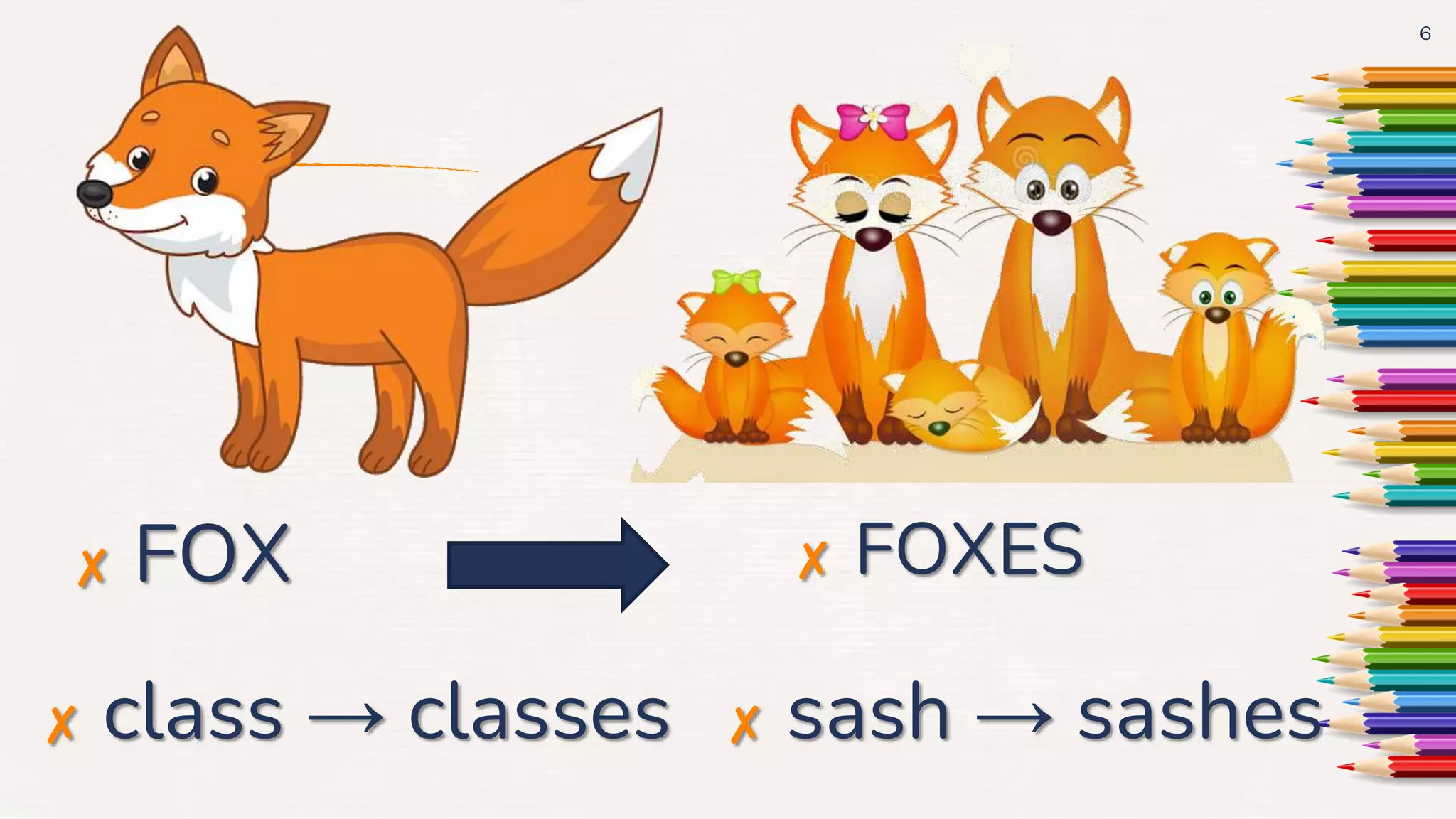 REGULAR & IRREGULAR NOUNS | PPTX