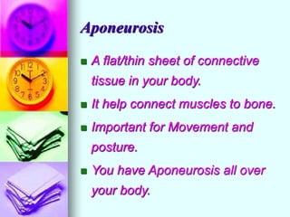 Palmar Aponeurosis by Amna Shaheen.ppt