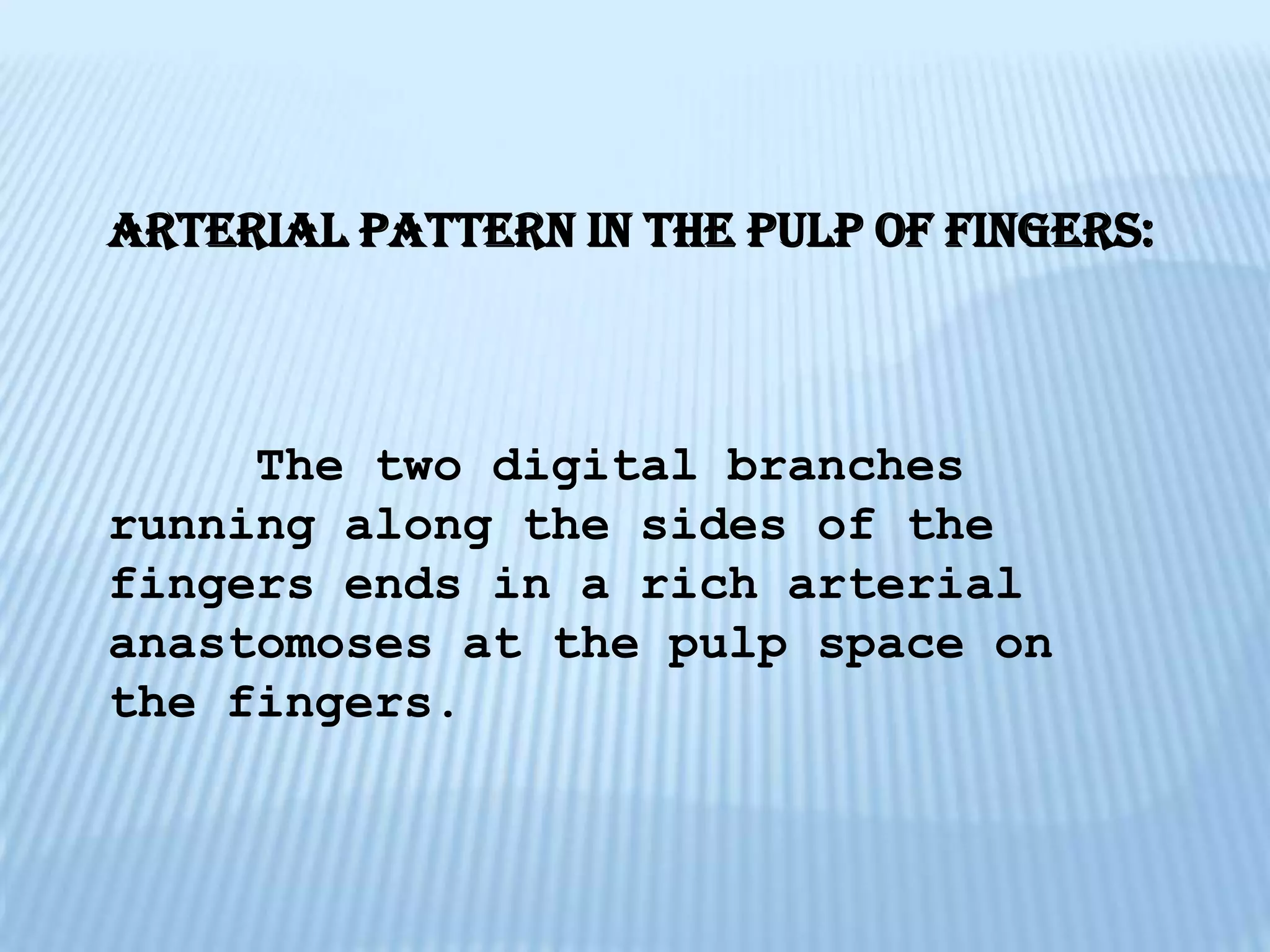Palmar arterial arches | PPTX