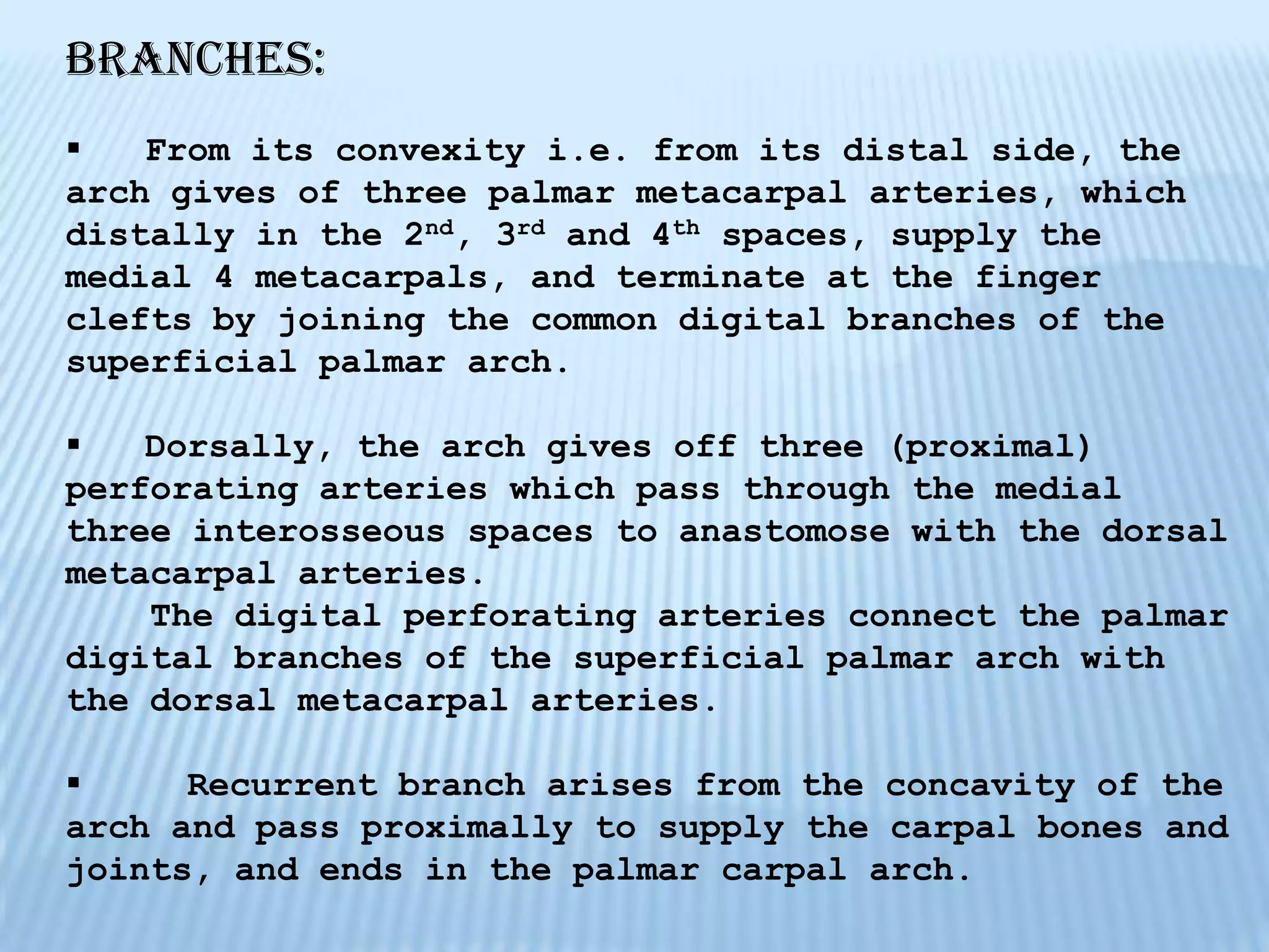 Palmar arterial arches | PPTX
