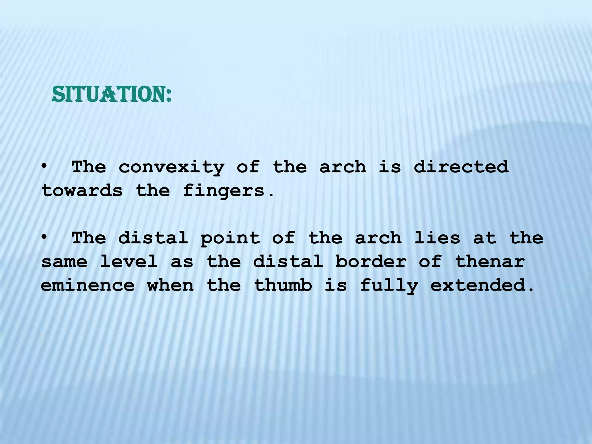 Palmar arterial arches | PPTX