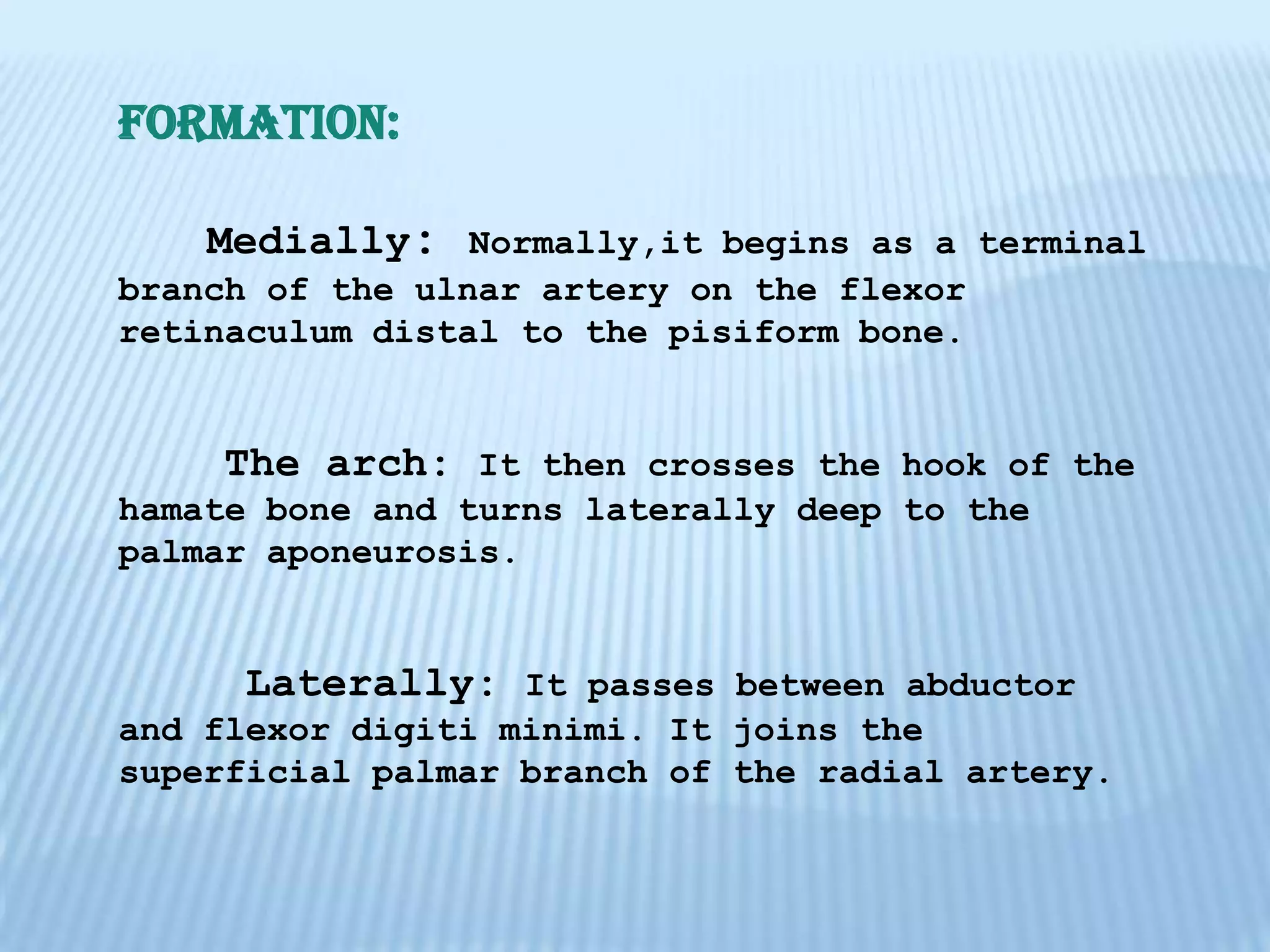 Palmar arterial arches | PPTX