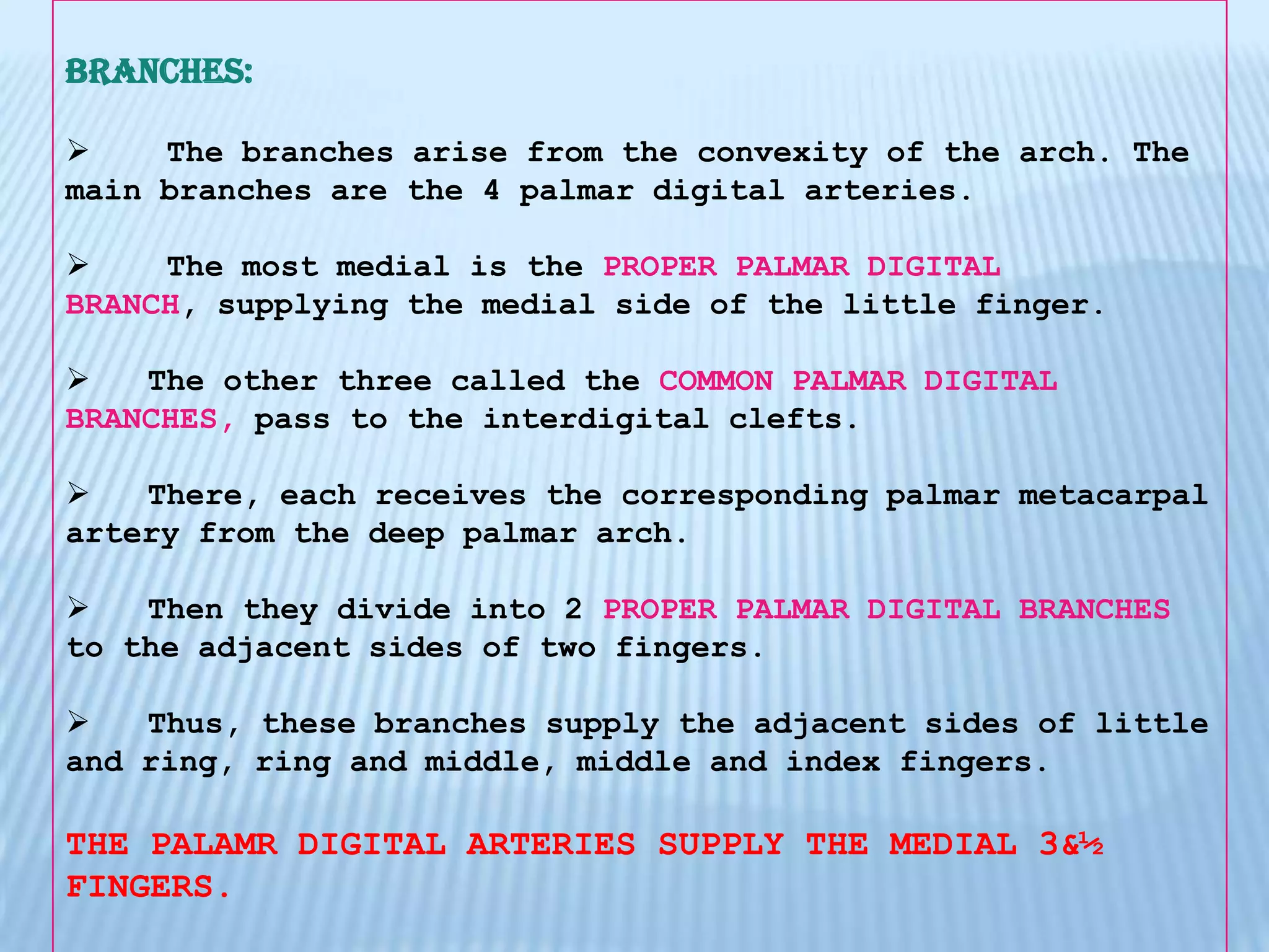 Palmar arterial arches | PPTX