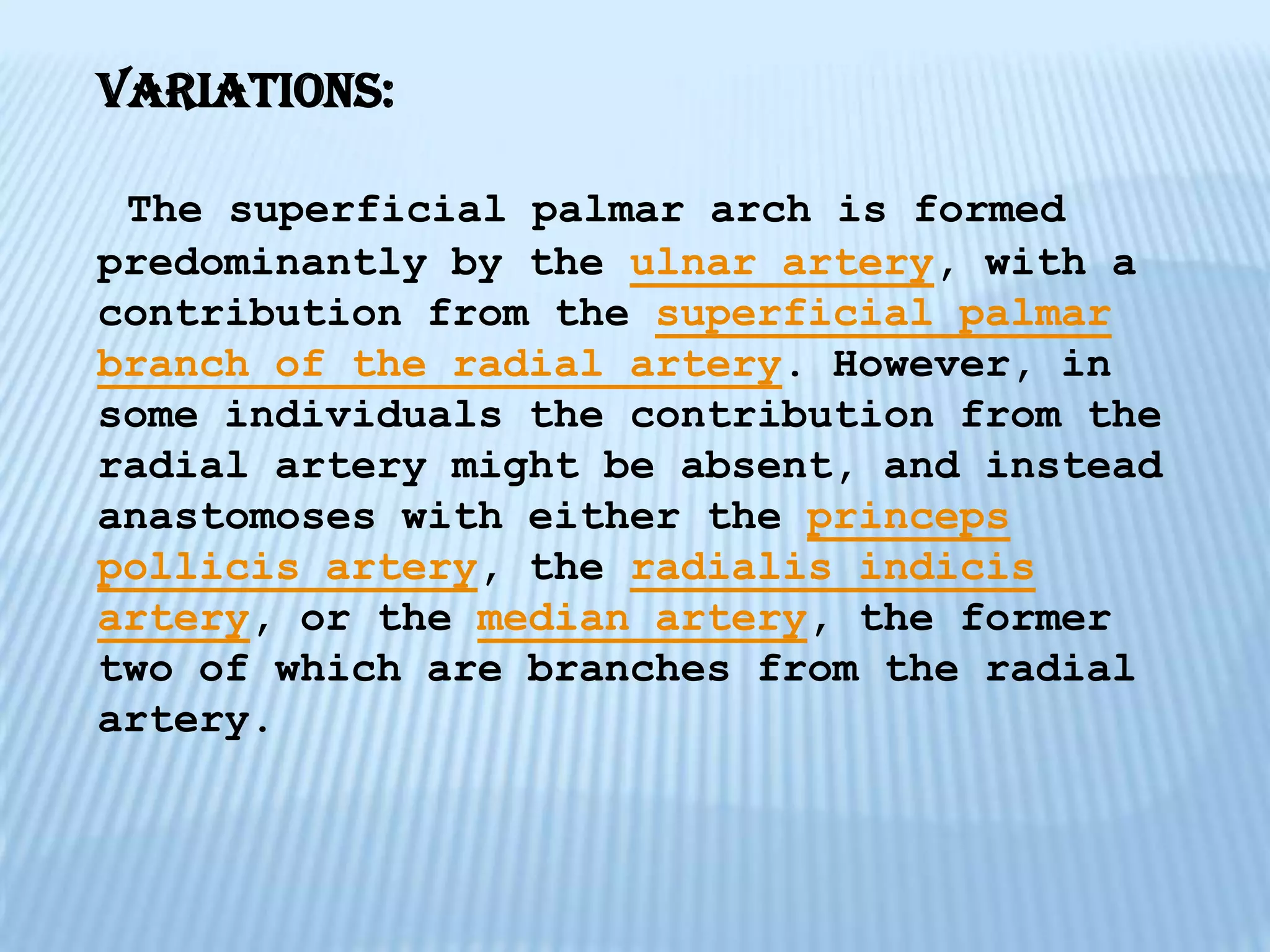 Palmar arterial arches | PPTX