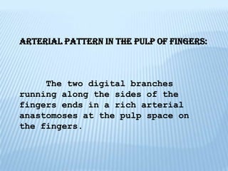 Palmar arterial arches | PPTX