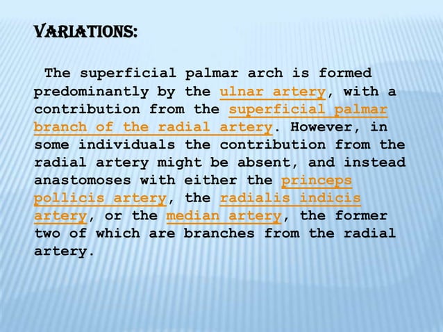 Palmar arterial arches | PPTX | Death, Injury, or Military Conflict ...