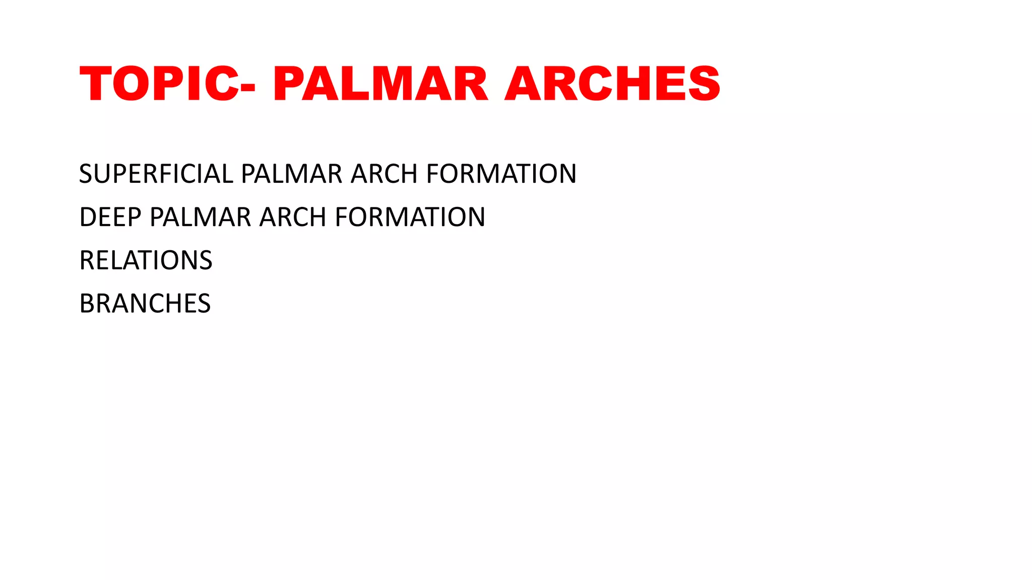 palmar arches.ppt