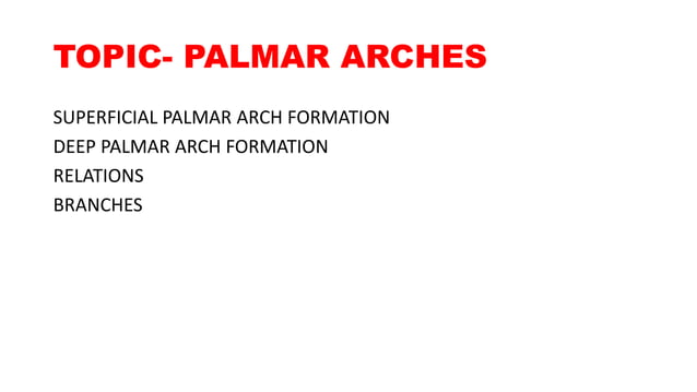 palmar arches.ppt