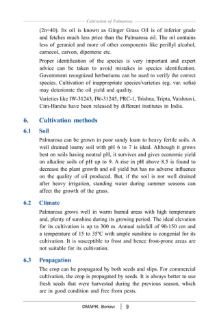 Palmarosa. Palmarosa (Cymbopogon martinii) is a perennial grass species ...