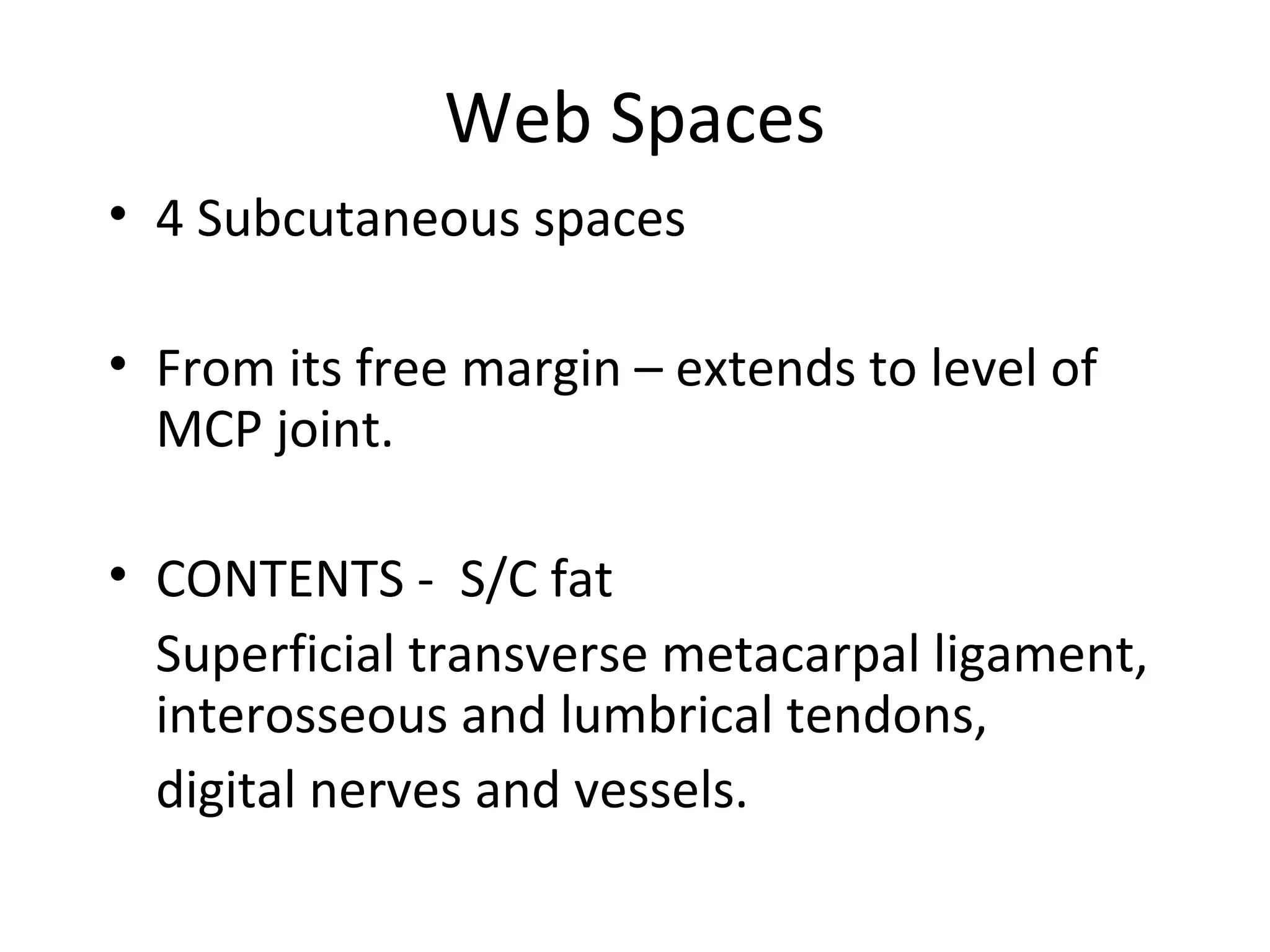 Palmar spaces | PPT