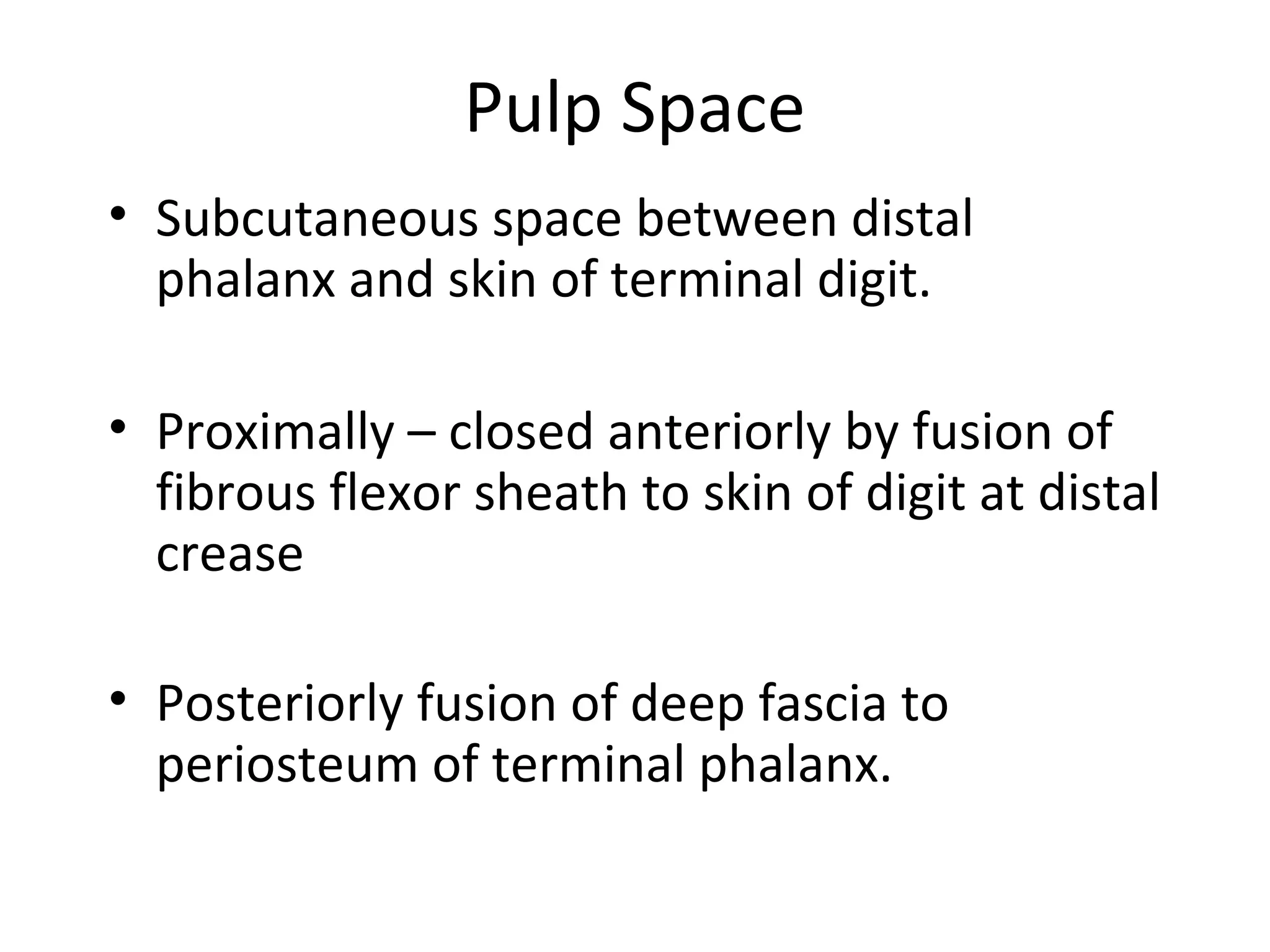 Palmar spaces | PPT