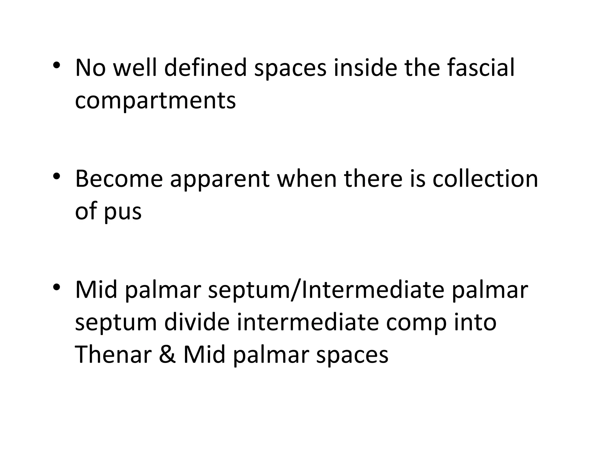 Palmar spaces | PPT